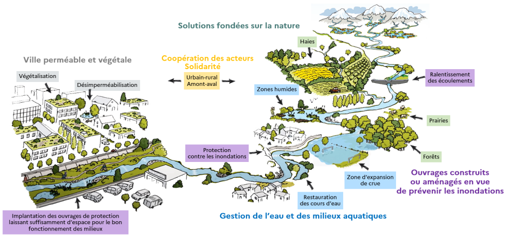 L'eau, une ressource précieuse - SCoTAM